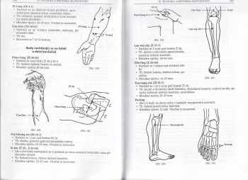 📙 Akupunktura v teorii a praxi - Radomír Růžička (2003, Poznání)