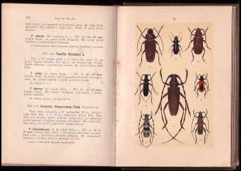 📙 Brouci : soustavný popis nejdůležitějších českých brouků s návodem ...