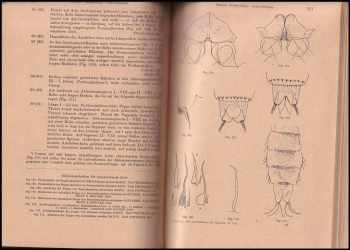 📙 Die Larvenformen der Dipteren. Eine Übersicht über die bisher ...
