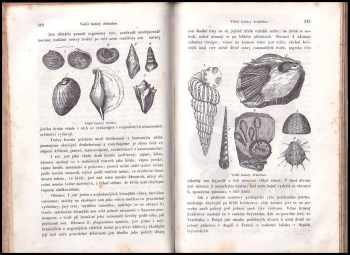 📙 Divy prasvěta : prostonárodní vypsání dějin stvoření a prvotného ...