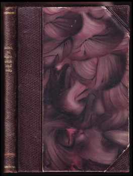 📗 Do nejkrásnější země světa PODPIS | Rudolf Medek 1922