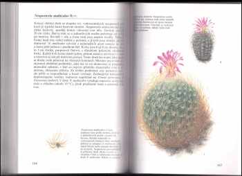 📙 Kaktusy - Petr Liška, Rudolf Slaba (1994, Aventinum)
