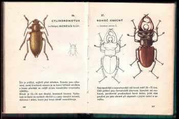 📗 Kapesní atlas brouků s určovacím klíčem vyobrazených druhů - Vladimír ...