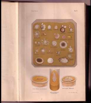 📙 Pathologická anatomie a bakteriologie - I. Všeobecná část, Technika ...