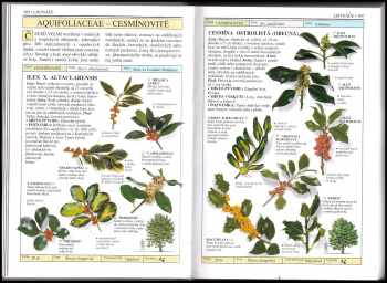 📙 Stromy : [obrazový průvodce k více než 500 druhů stromů z celého ...