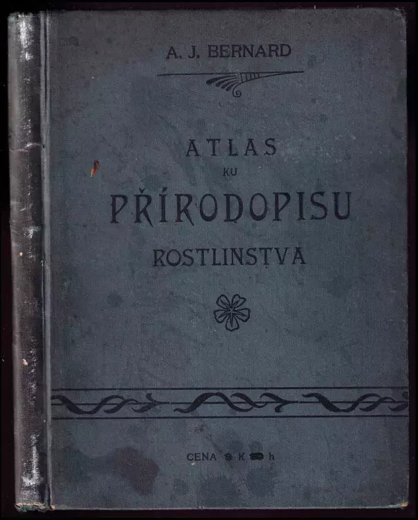 📙 Atlas ku přírodopisu rostlinstva - Alexander Josef Bernard (1904, I.L ...