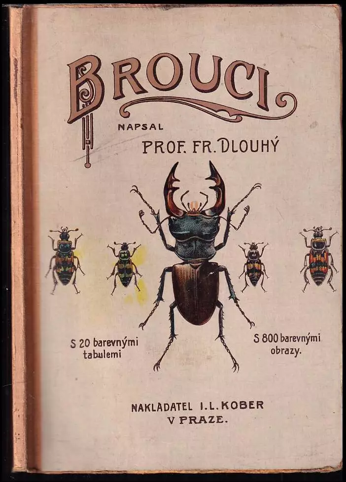 📙 Brouci : soustavný popis nejdůležitějších českých brouků s návodem ...