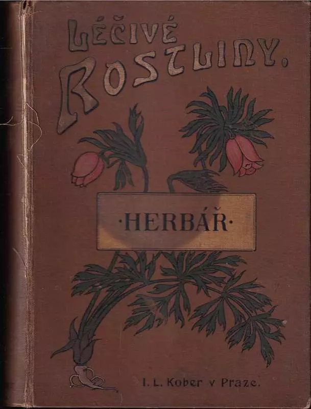 📙 Léčivé rostliny : herbář - František Dlouhý (1925, I.L. Kober)
