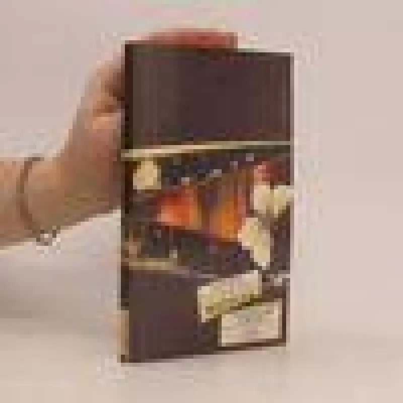 📙 Motýlek : První díl - Henri Charrière (2001, BB art)