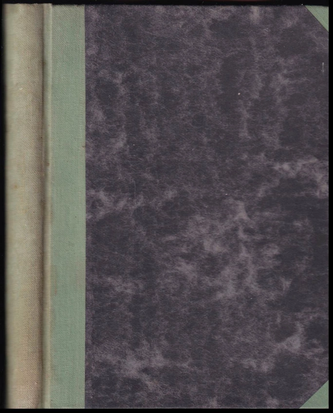 Stíny dvou mužů : Det. rom | ČBDB.cz