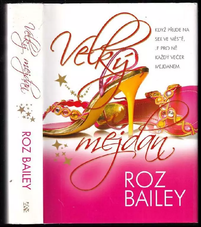 📙 Velký mejdan - Roz Bailey (2007, BB art)
