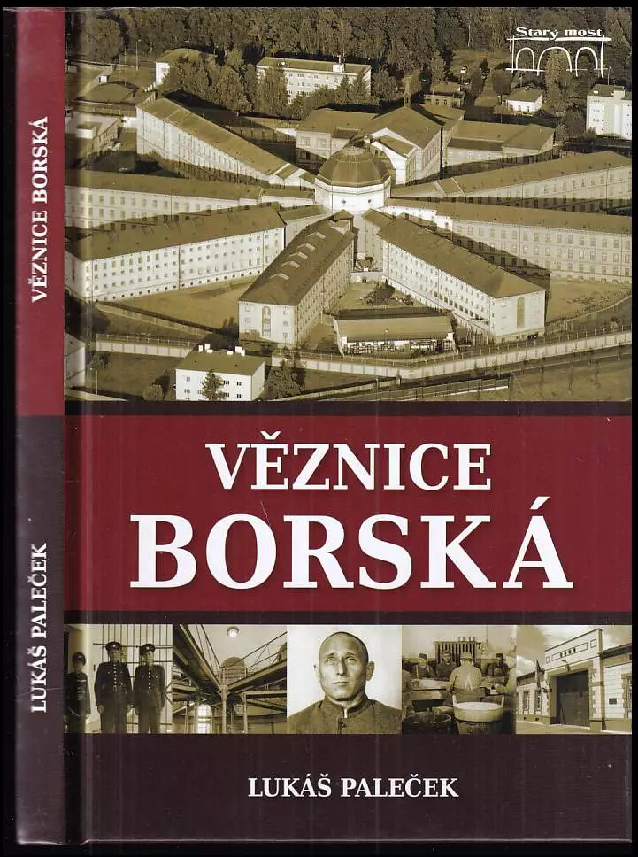 📙 Věznice borská - Lukáš Paleček (2017, Starý most)